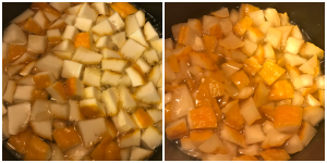 Candied Esrog Recipe - The Sukkah Project®